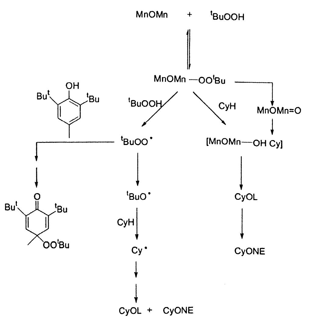 Mechanism for the oxidation of cyclohexane. kane oxidation.