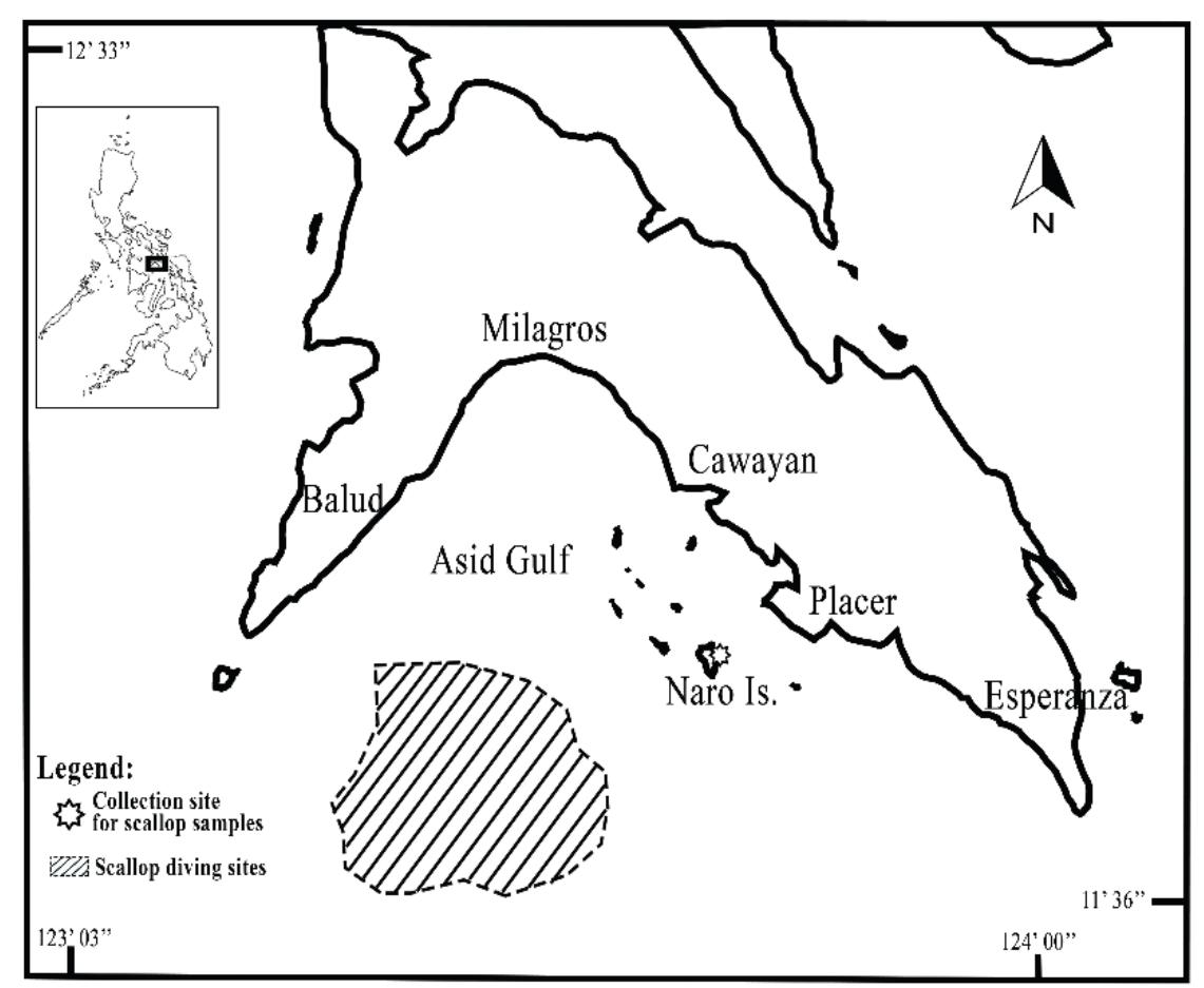 Map of the study area (philippine map inset) showing the