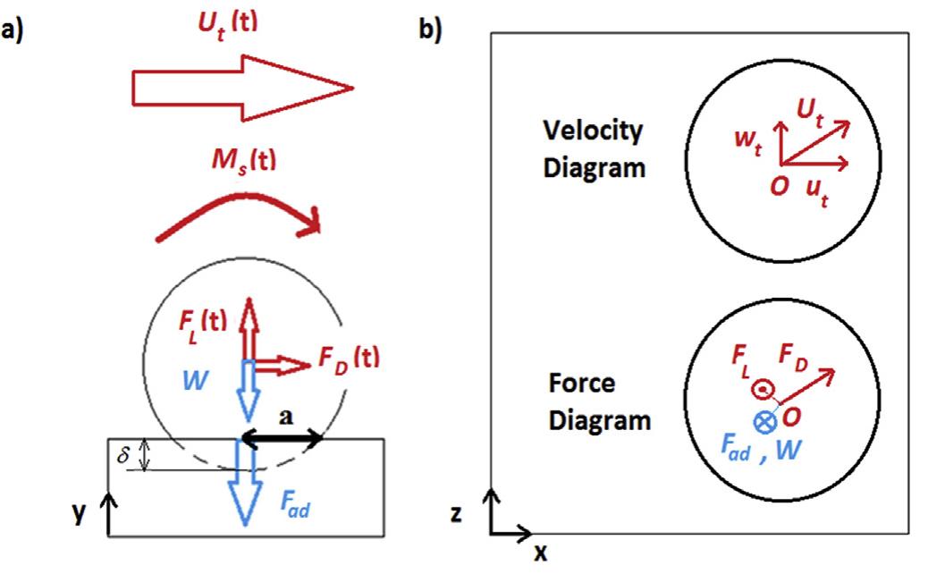 A) front view of moments and forces acting on the particle;