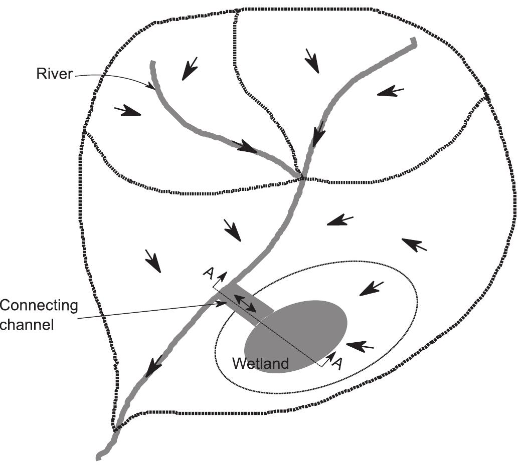 Graphical representation of a wetland and sub-basin in the