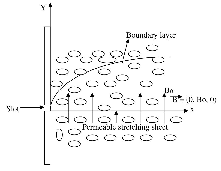 Schematic diagram for physical flow model