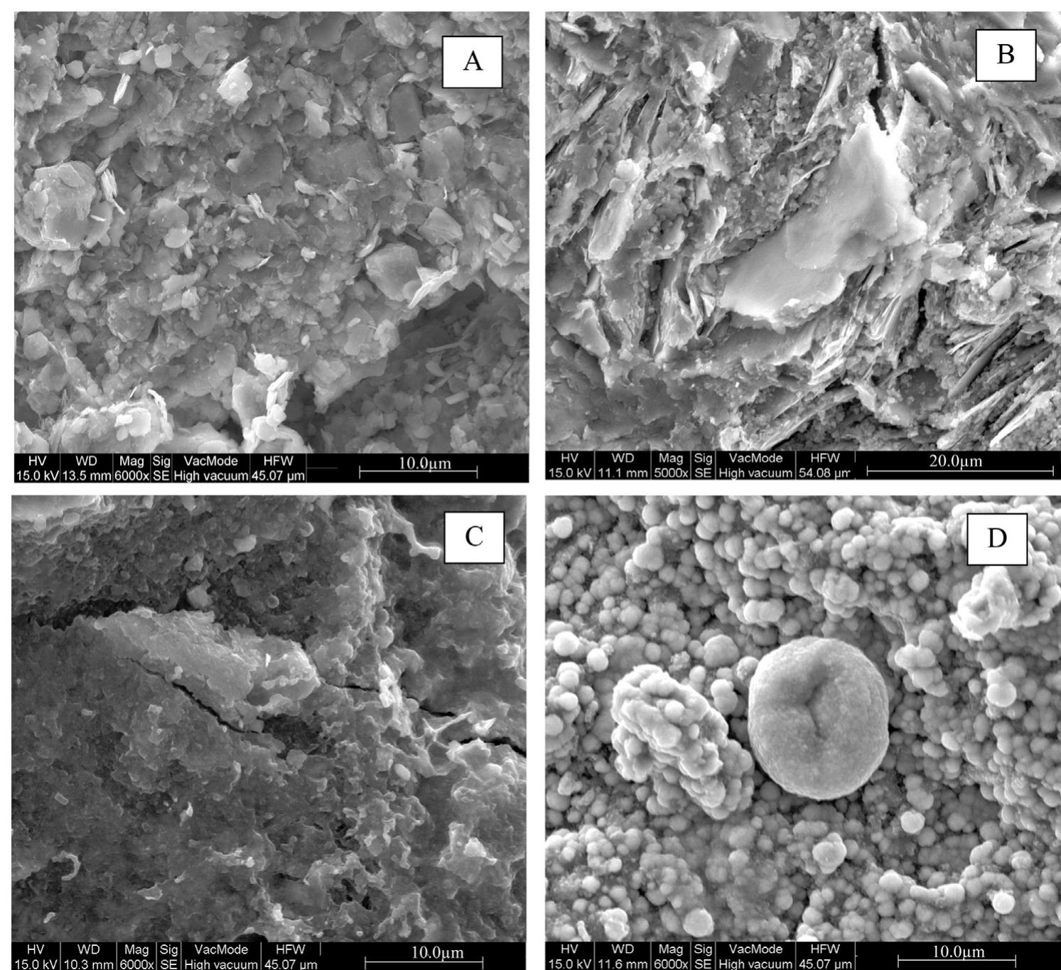 Sem images of the patina: overall morphology of the patina