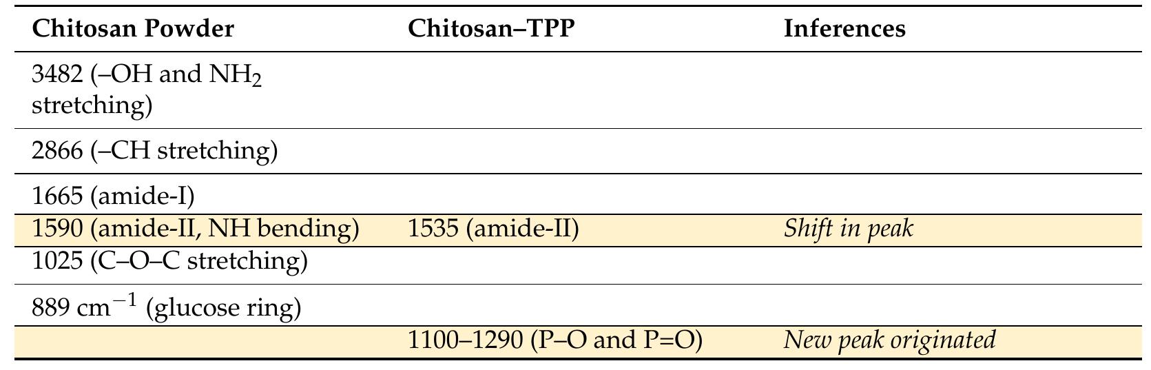 Table 3 - from Chitosan Nanoparticle Encapsulation of