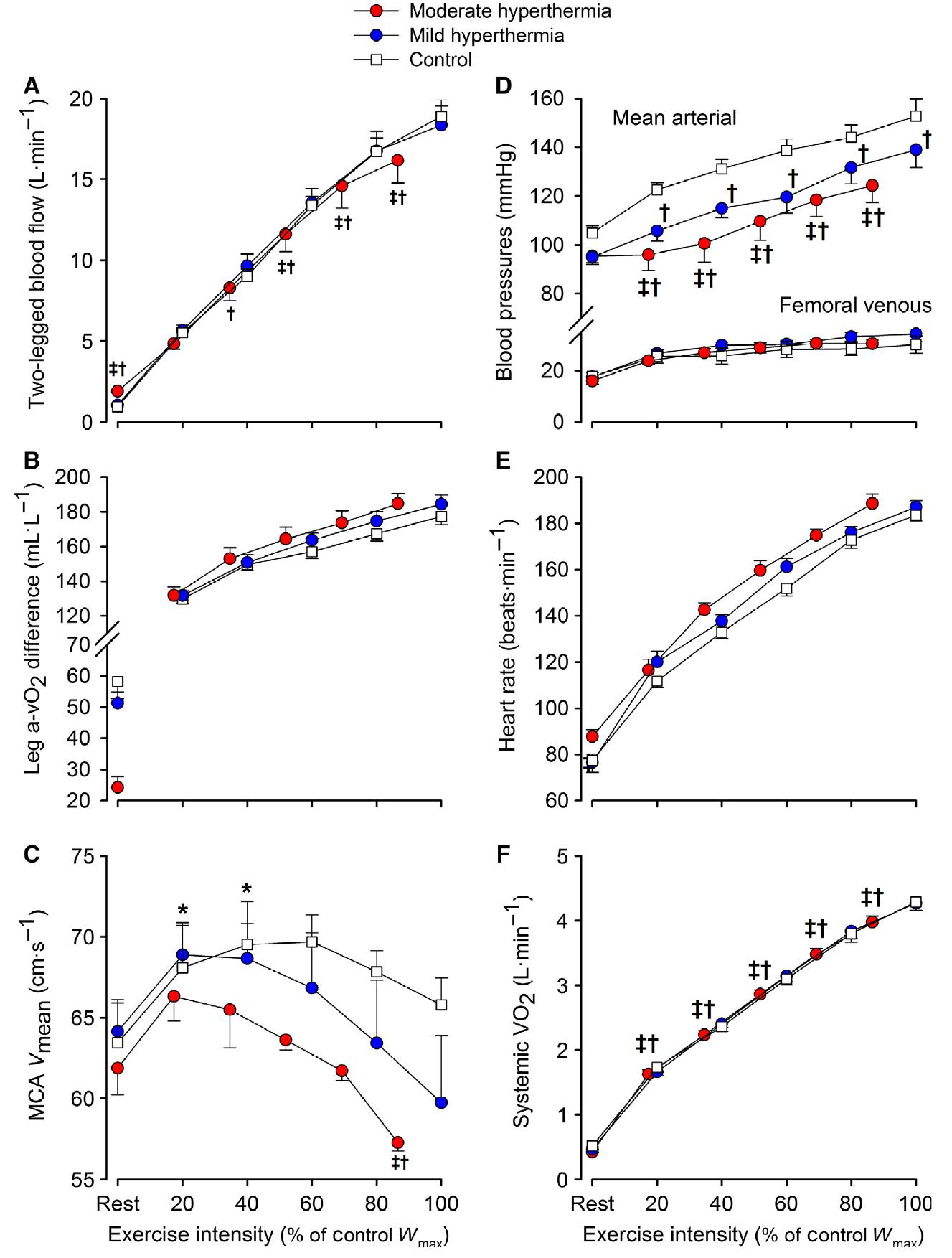Two-legged and brain hemodynamics, blood pressures and