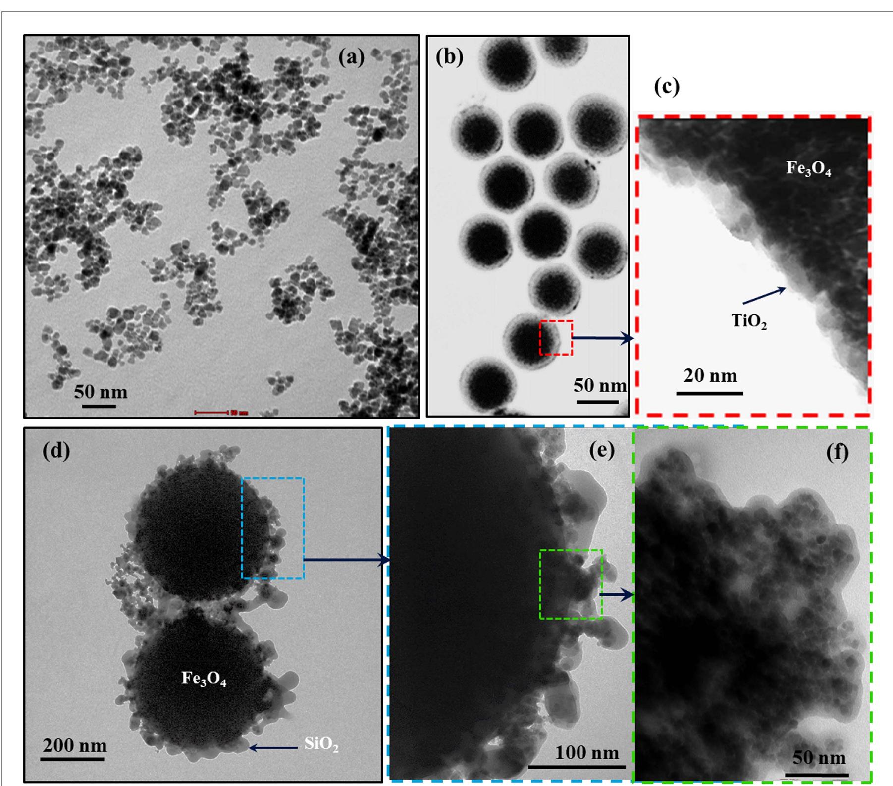 Tem images of (a) fes, nps; (b), (c) nanocluster of fe,0,