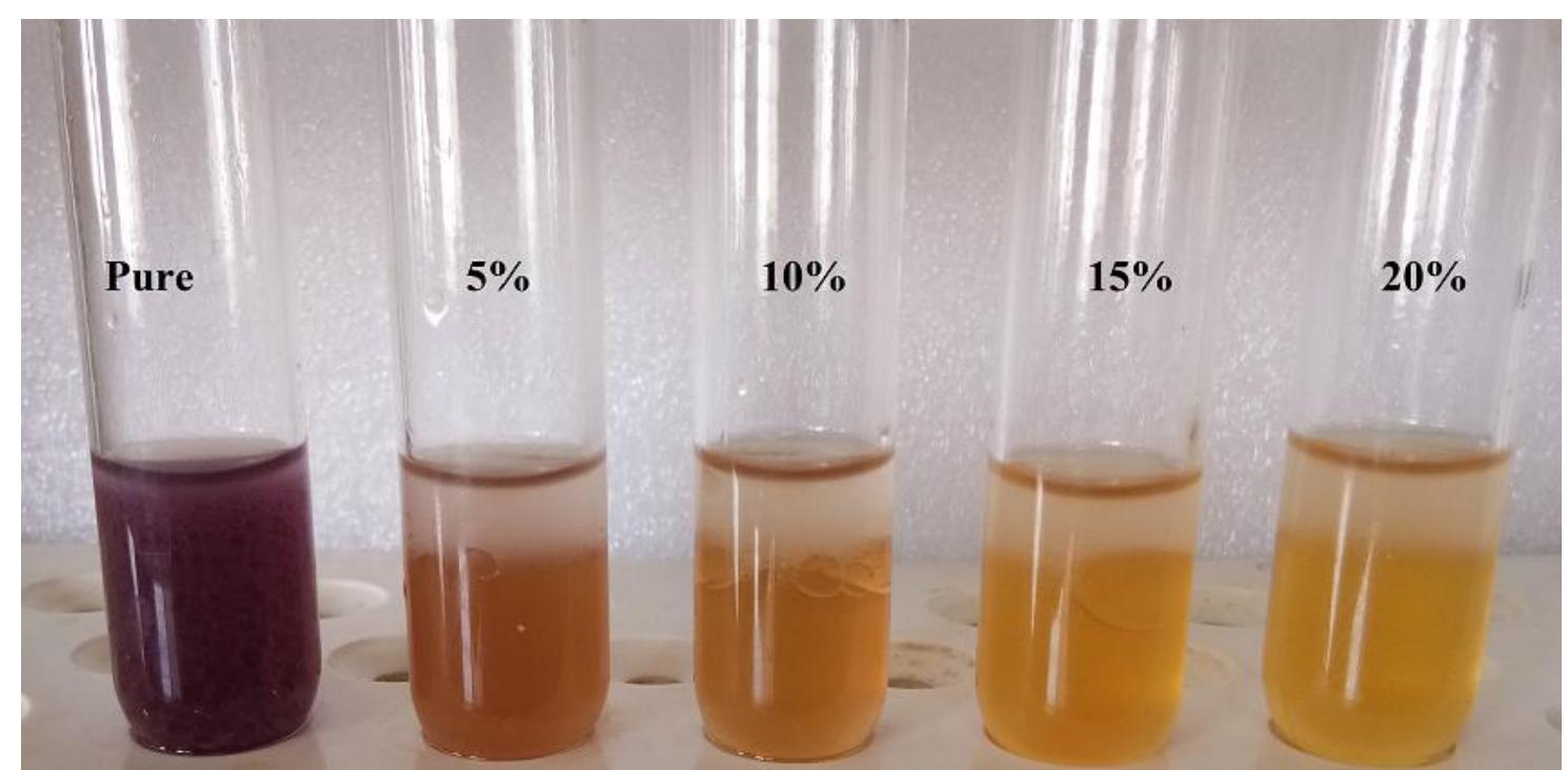 Plate.2 dpph reaction of pure ghee and ghee adulterated with