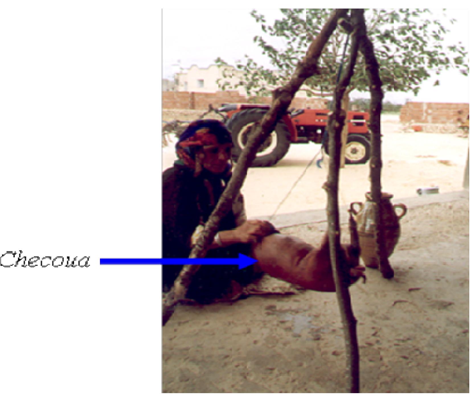 Photo of the traditional churning process in tunisia.