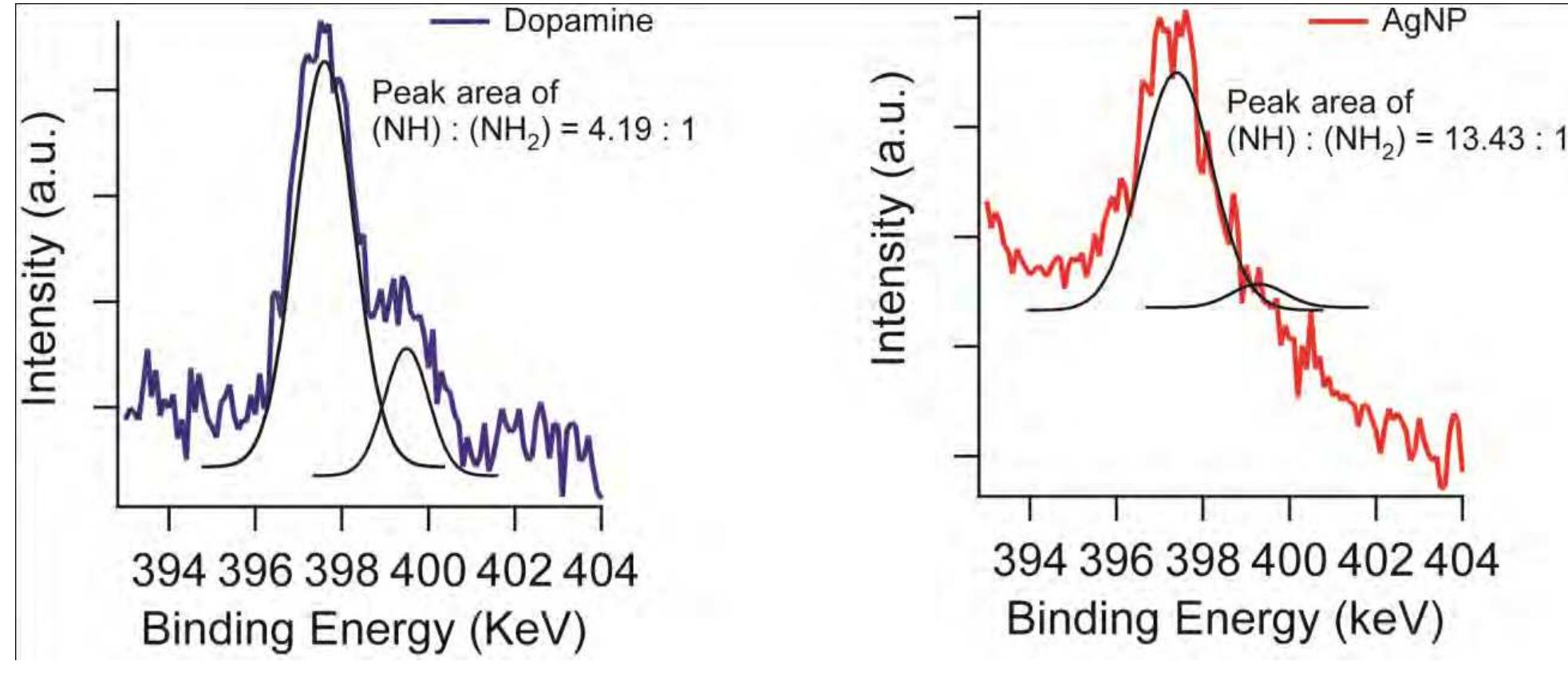18 high resolution n 1s xps spectra of dopamine and agnps