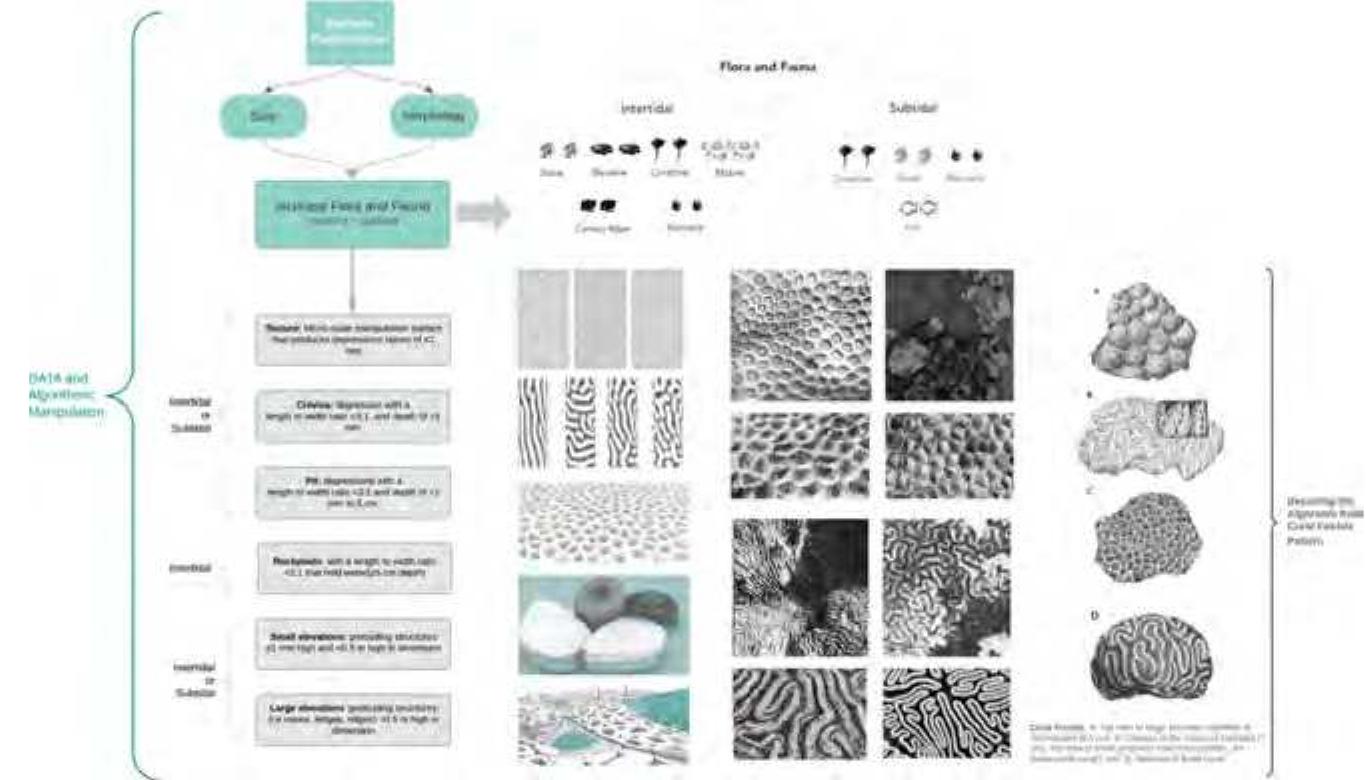 Morphological design procedure”! urban sprawl is widely