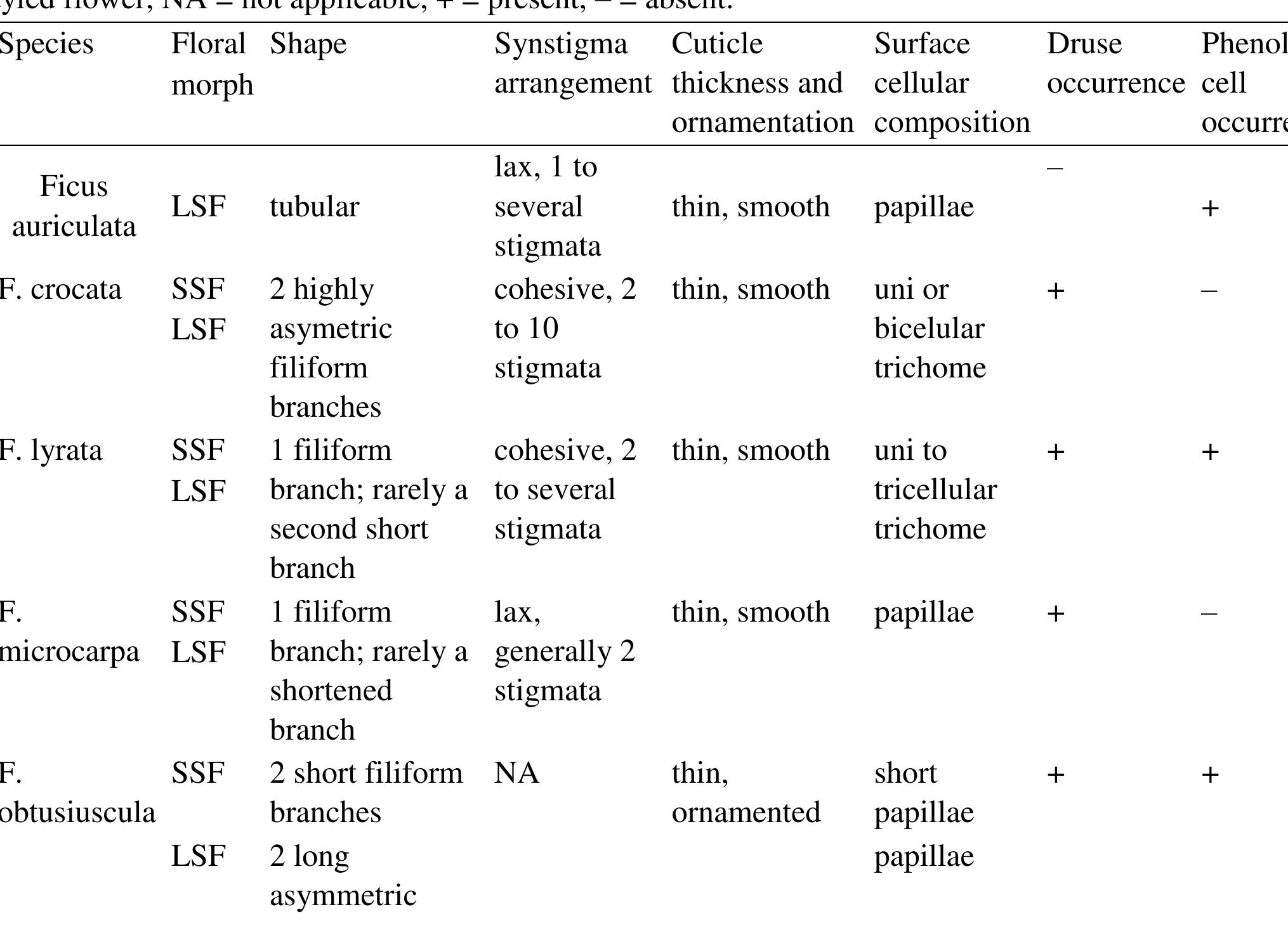 Table 2 - Morphological diversity and function of the stigma