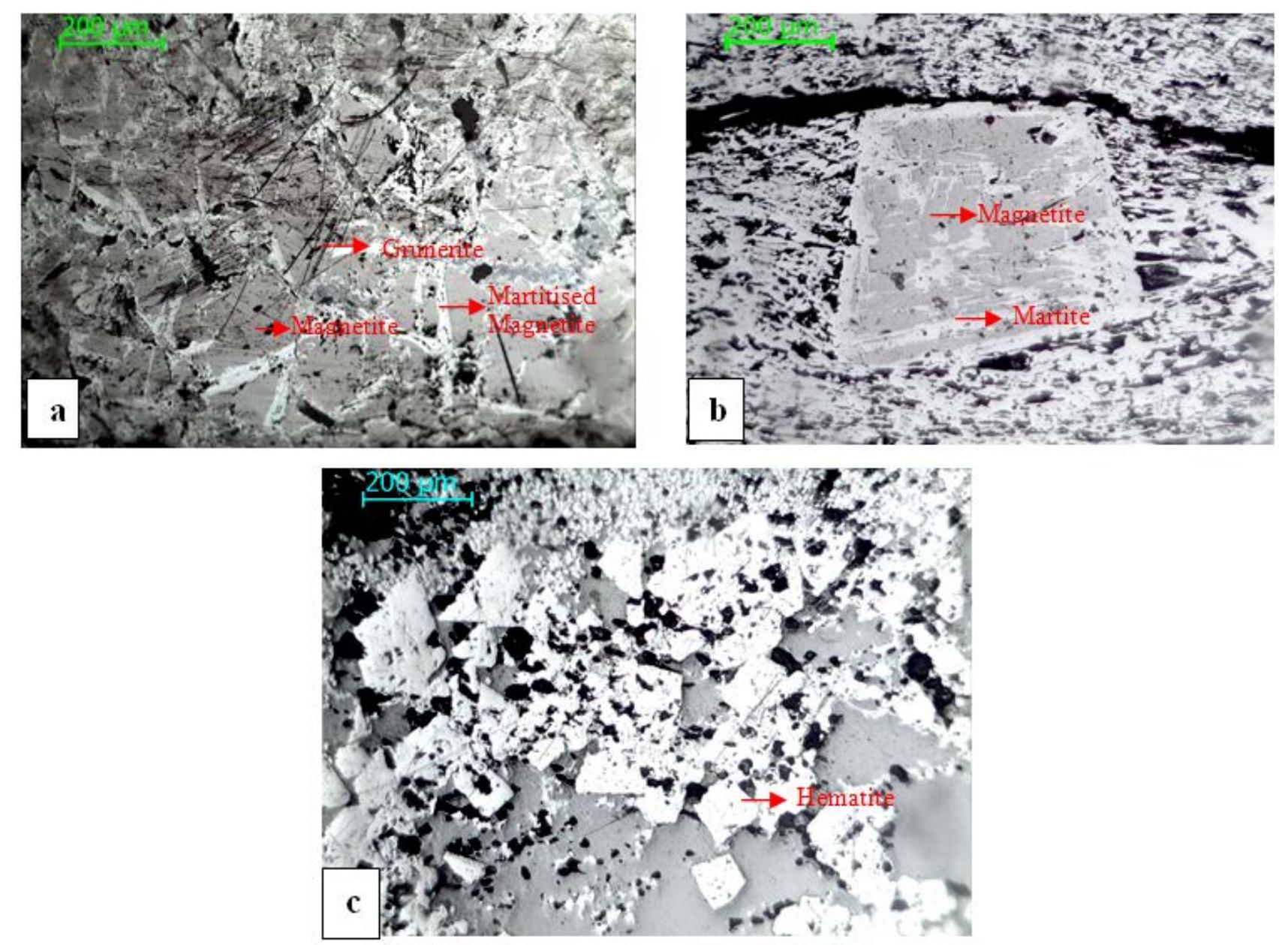 Photomicrographs showing (a) grunerite, magnetite (primary)