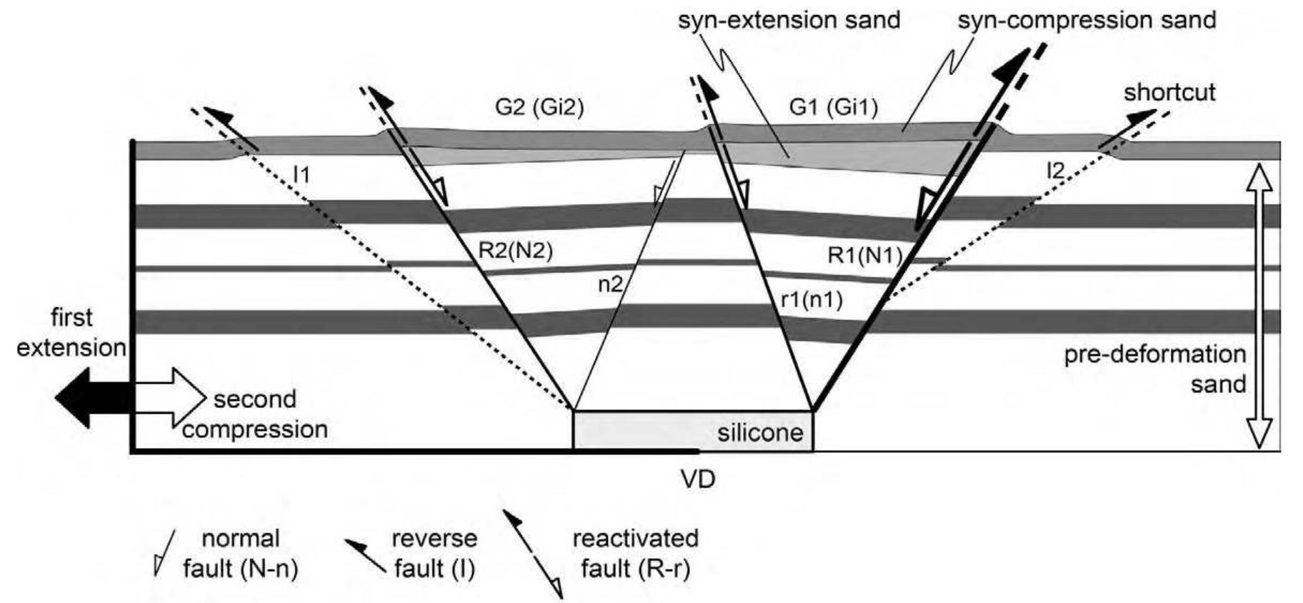 Schematic section that summarizes the main structures