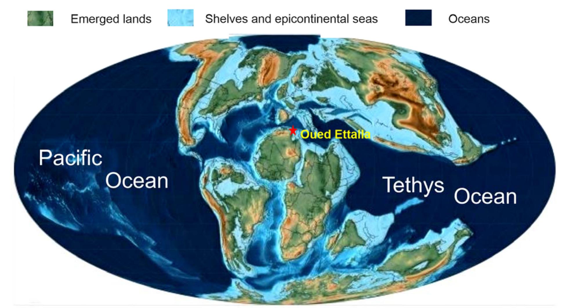 Paleogeographic map. the map shows the distribution of