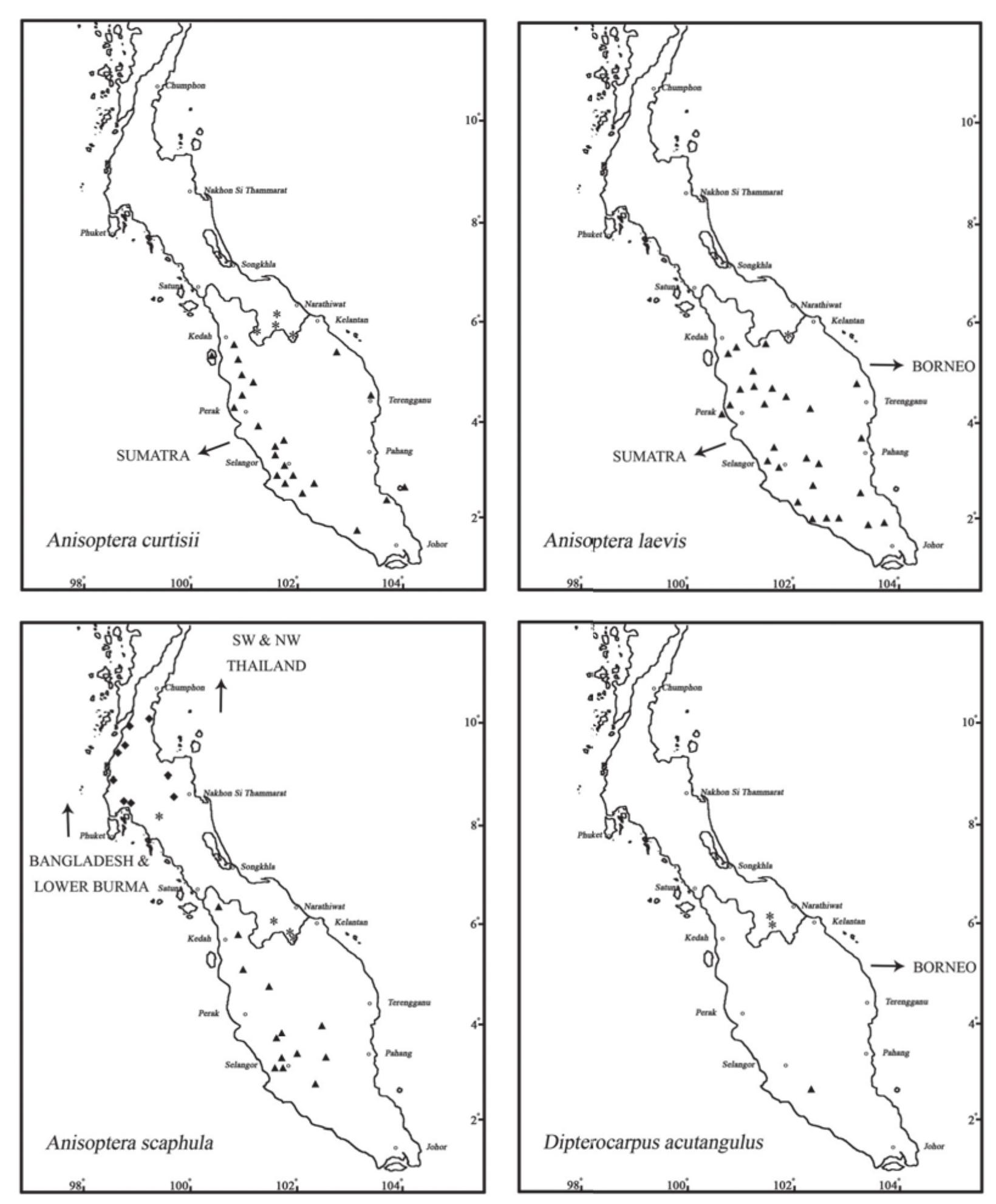 Figure 4 - The Dipterocarpaceae of Hala-Bala Forest Complex,