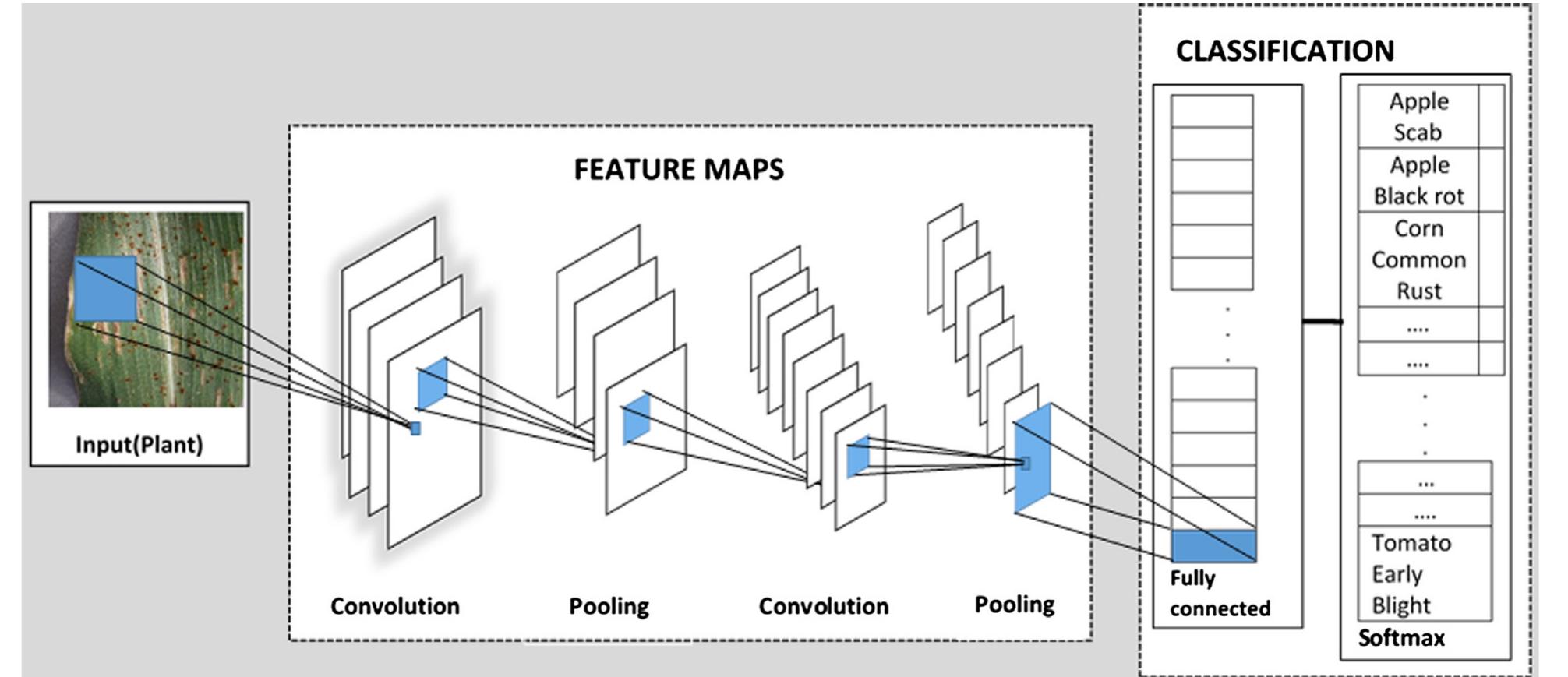 A typical convolution neural network (cnn) architecture.
