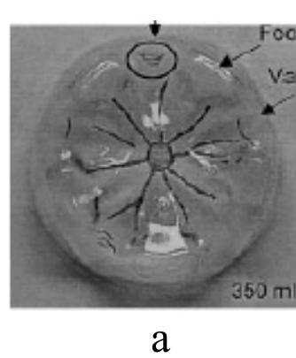Cracks at the petaloid base of the bottle. the optimization