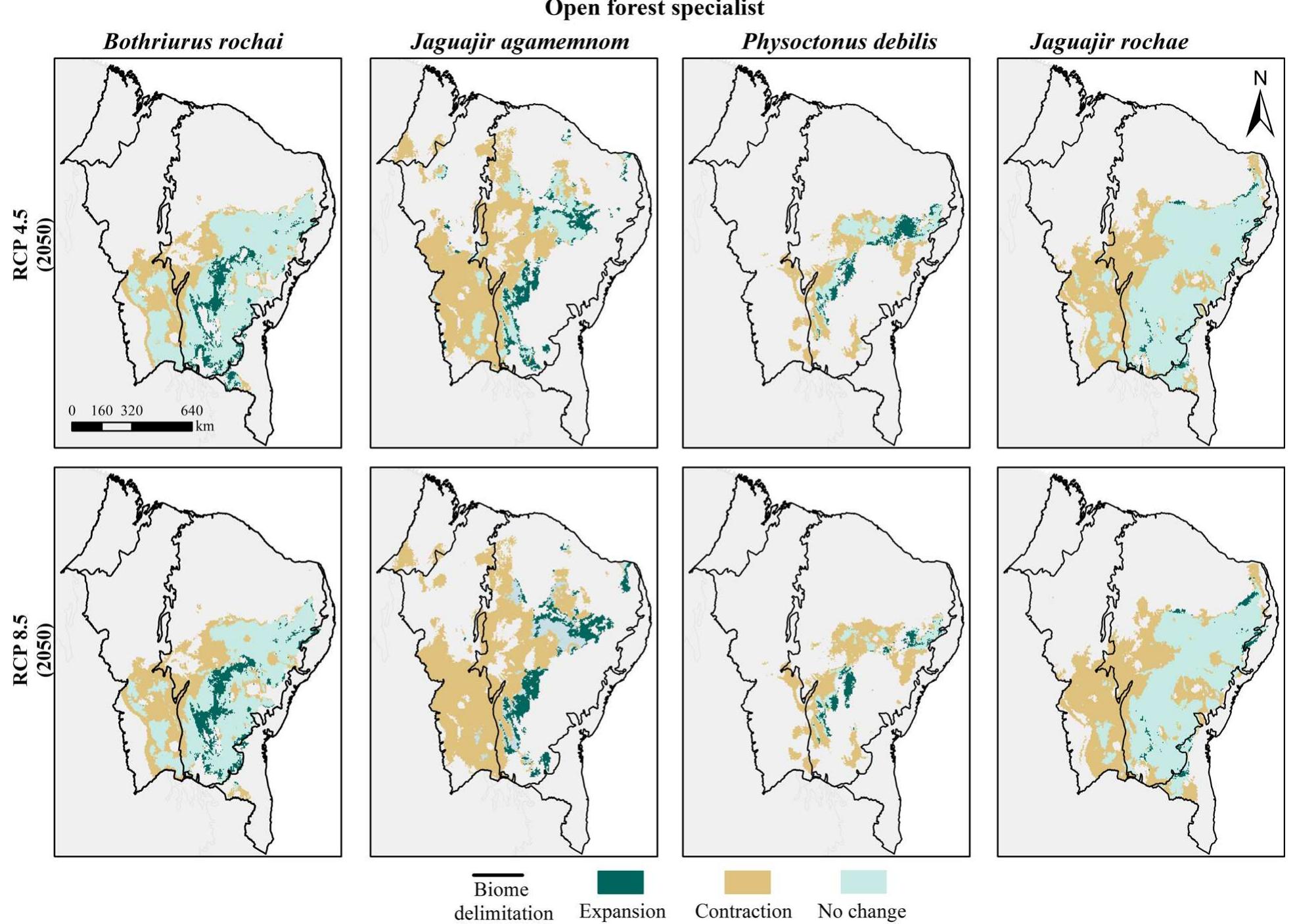Maps of species distribution models for open-forest