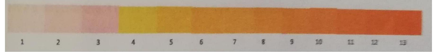 For the determination of skin color, a color chart (figure
