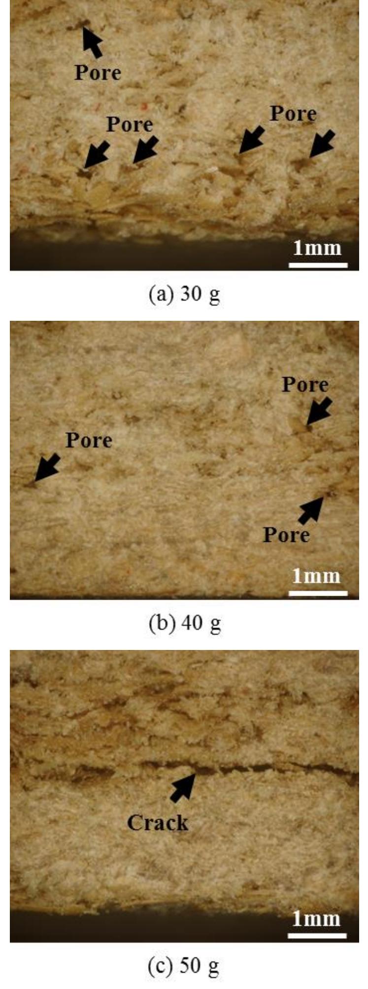 Cross-section views of rice husk particleboard.