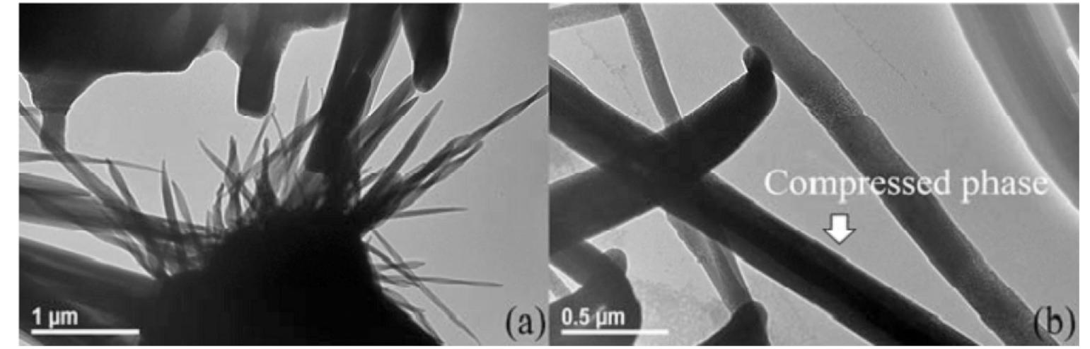_ tem images of type-b samples. needle shaped structures