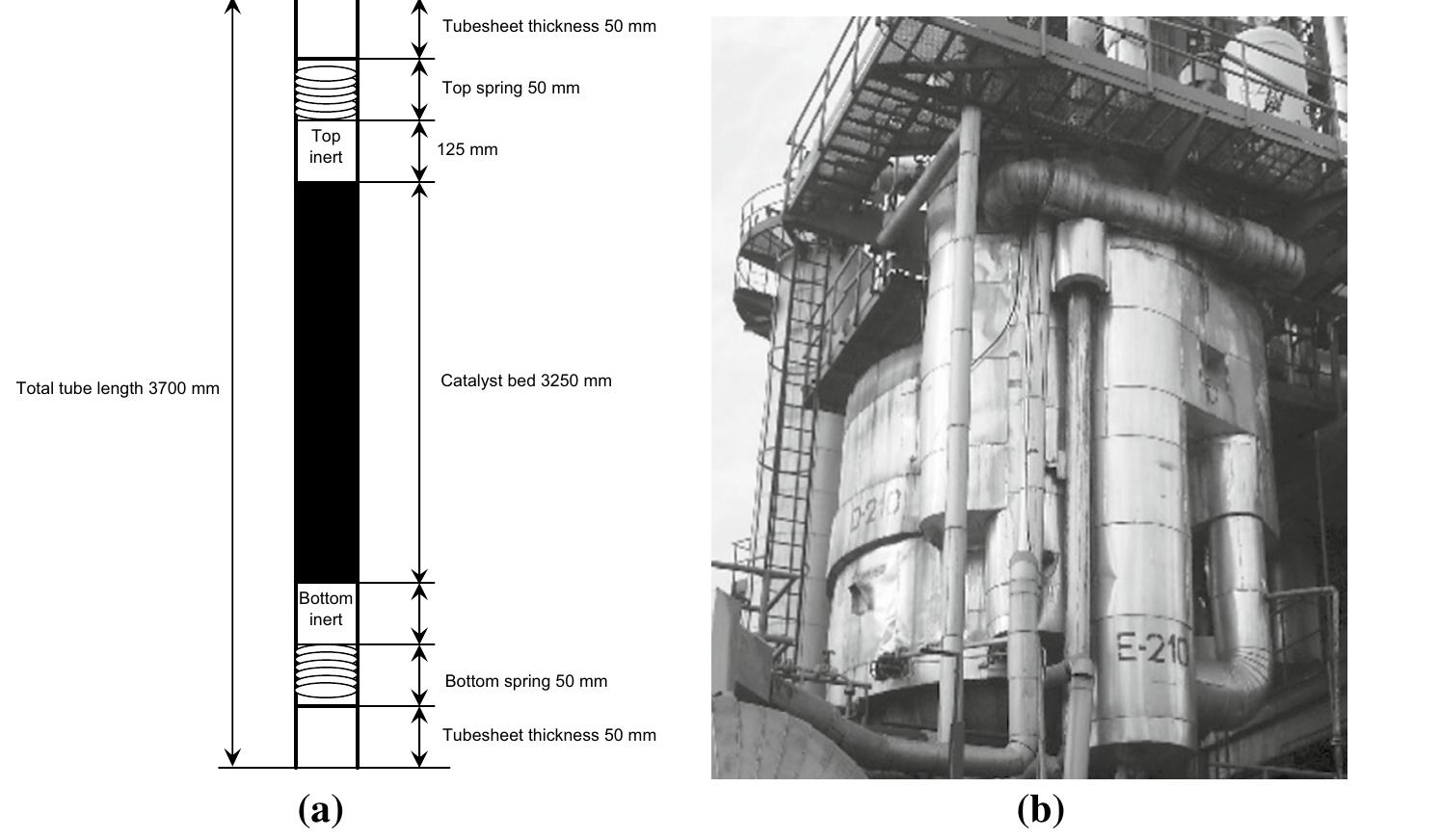 Industrial Fixed Bed Reactor A Schematic Representation Of