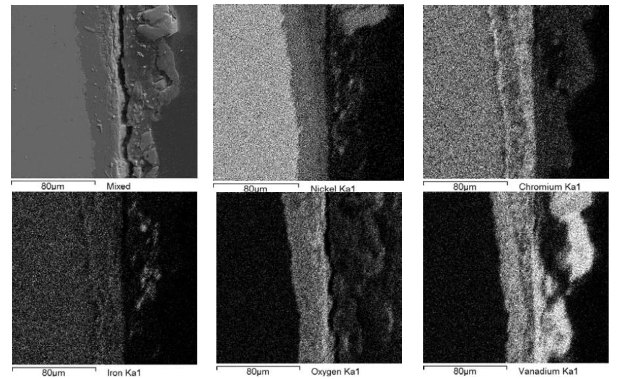Shows a micrograph of a cross section of the metal-scale