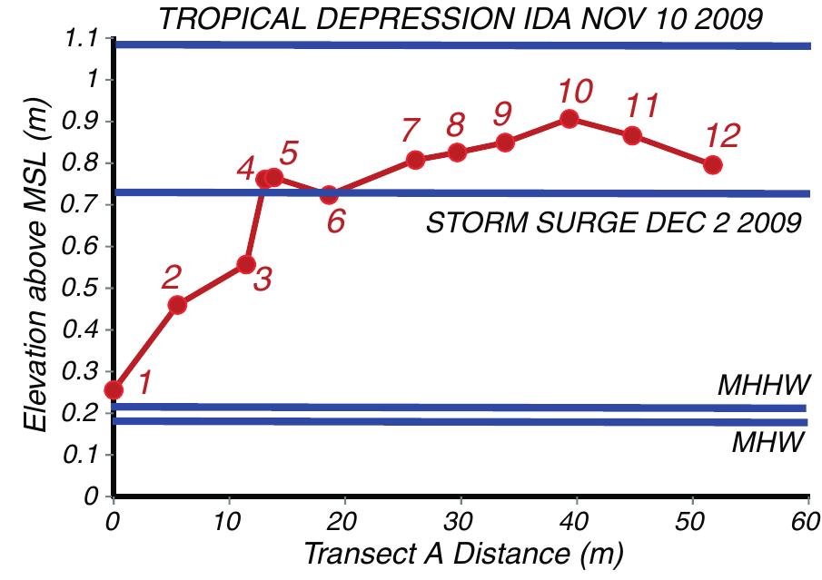 Elevation transect (transect a in figure 2a) starting from