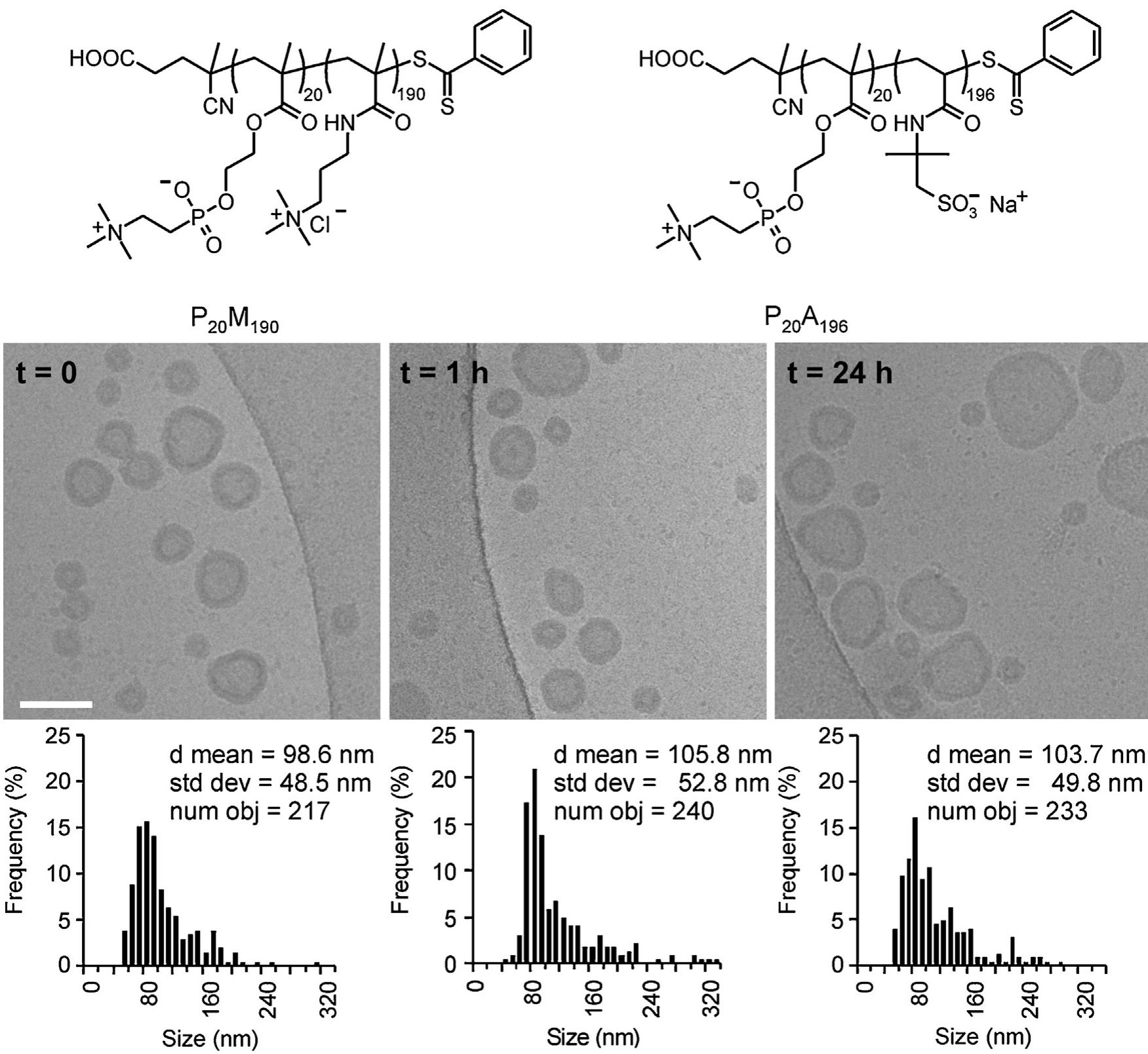 Chemical structures of copolymers used to obtain picsomes.