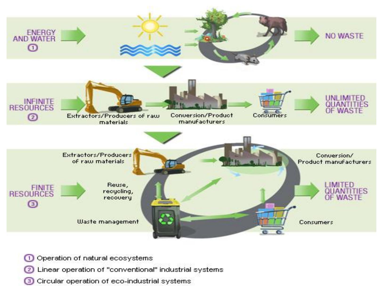 -1: natural ecosystem versus linear system and circular