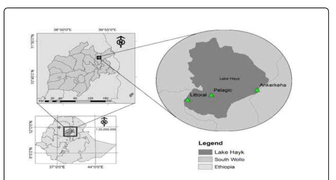 Figure 1 - from Spatial and Temporal Physicochemical Water