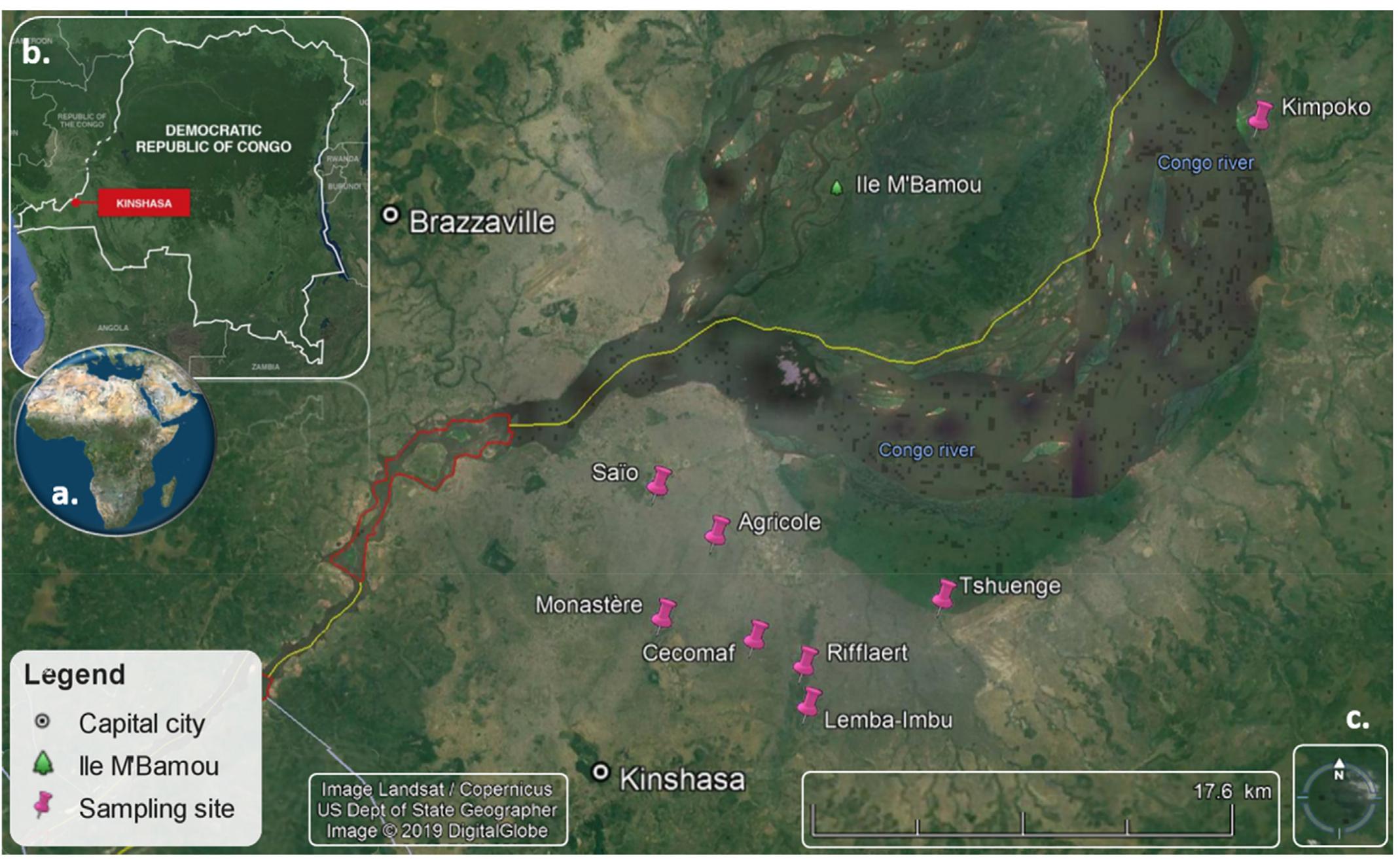 Sampling site adapted from google earth indicating; (a)