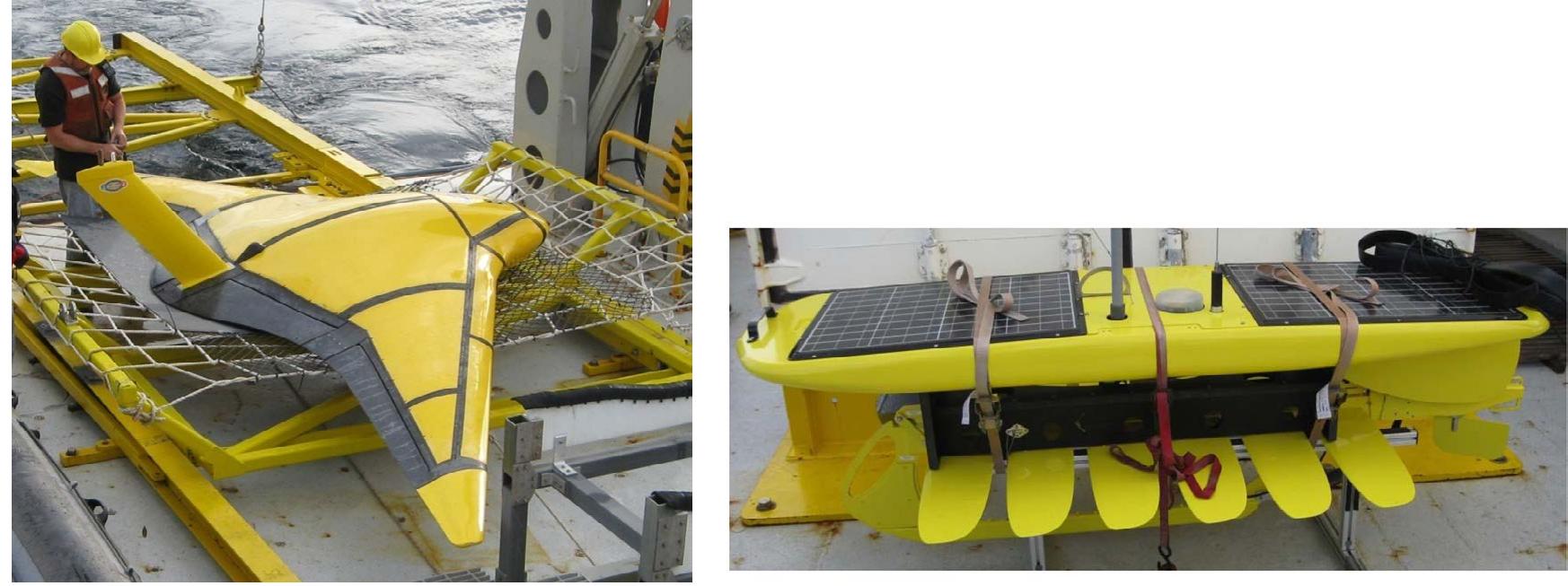Figure 1 - from Glider-based Passive Acoustic Monitoring