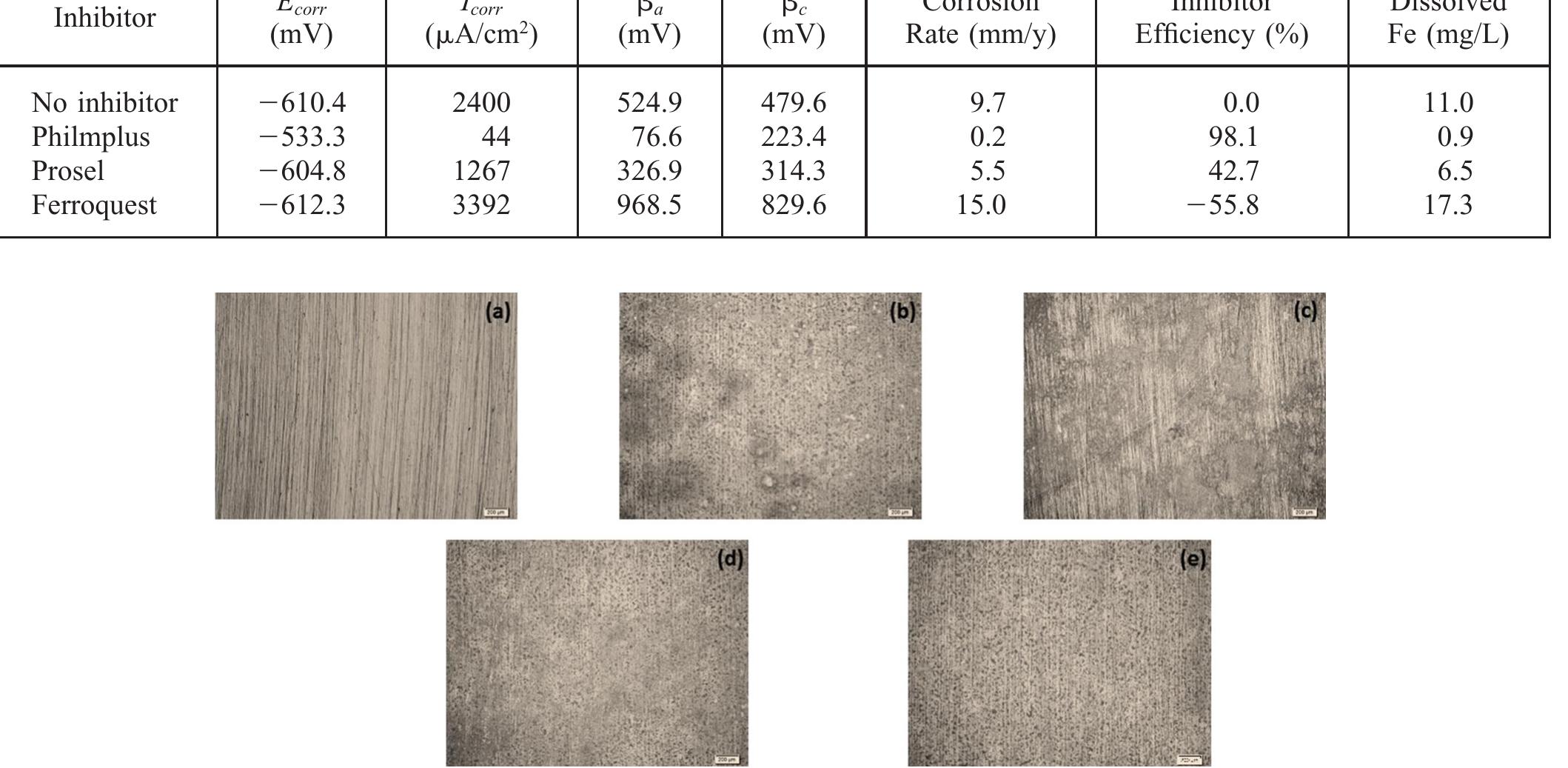 Optical microscopic examination of the carbon steel