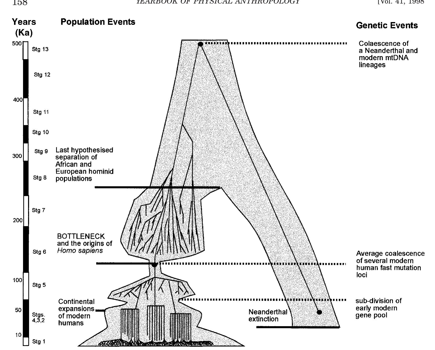 Schematic representation of the relationship between the