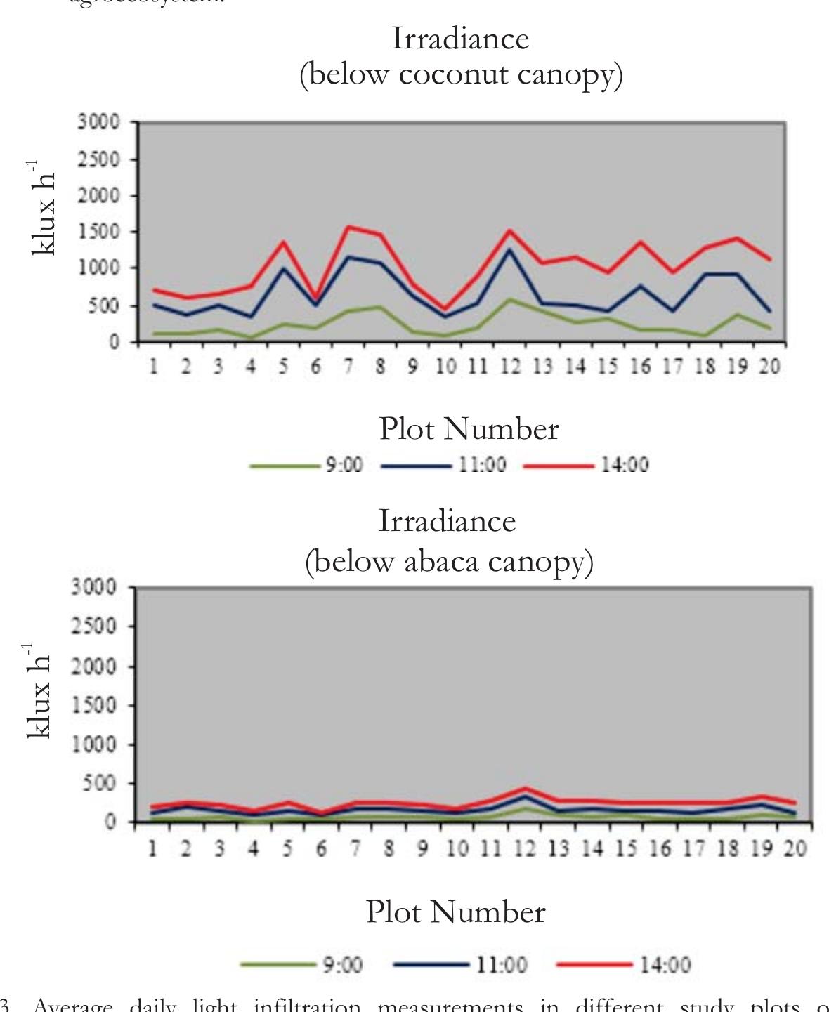 Figure 3 - Abaca (Musa textilis Nee) Breeding in the