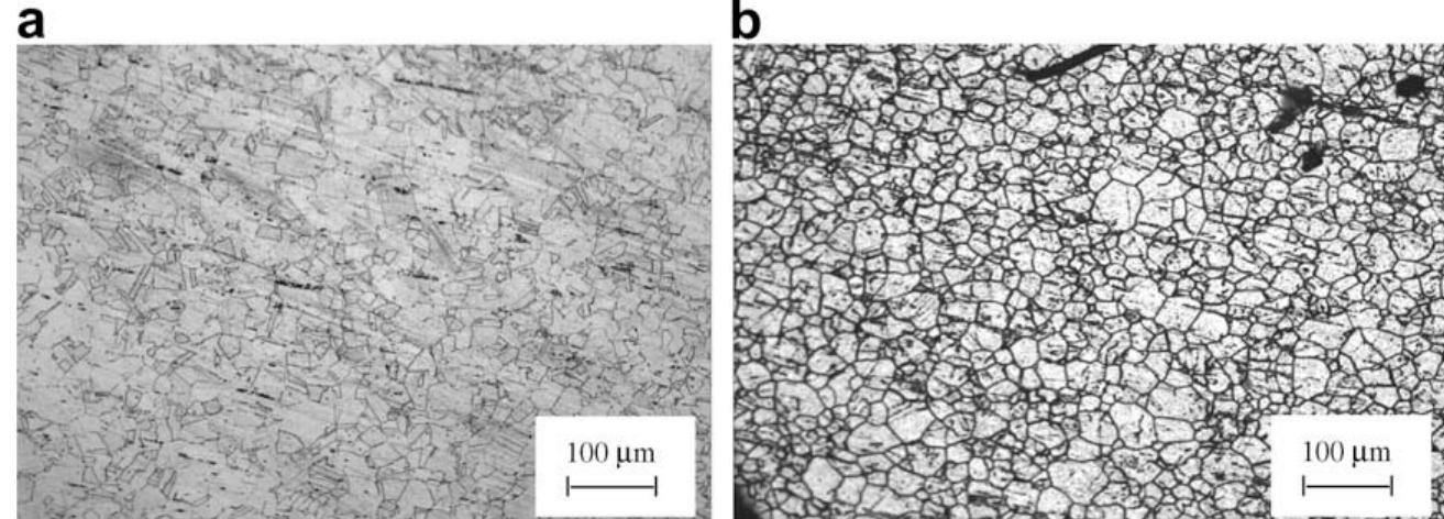 Typical microstructure of nag type 304l1: (a)