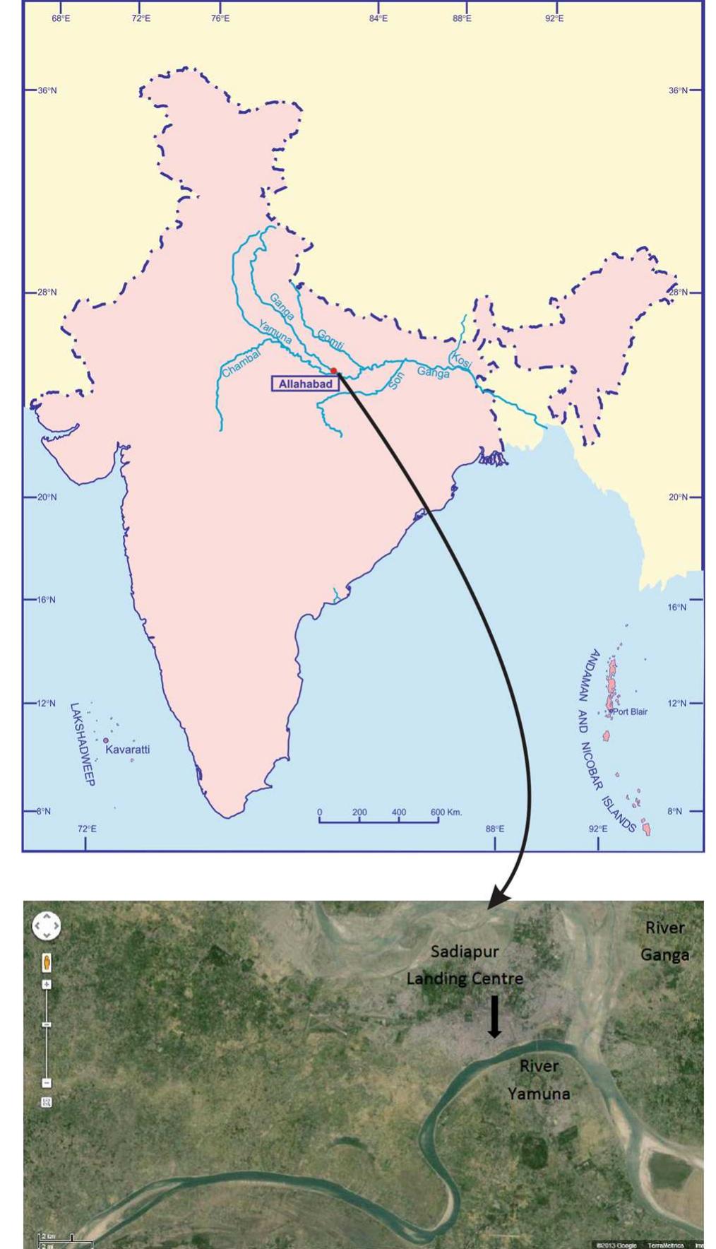 Map showing the sampling centre on the river yamuna at