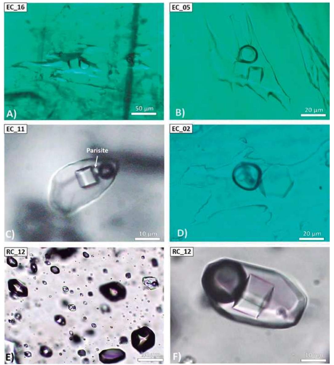 Photomicrographs of fluid inclusions. a) emerald-hosted