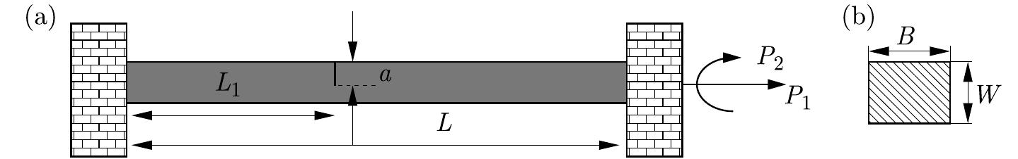 (a) cracked fixed-fixed beam, (b) cross sectional view of