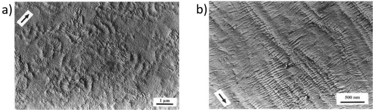 Transmission electron microscopy images of replicas of