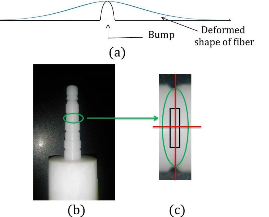 (a) schematic of deformed shape of fiber due to the presence