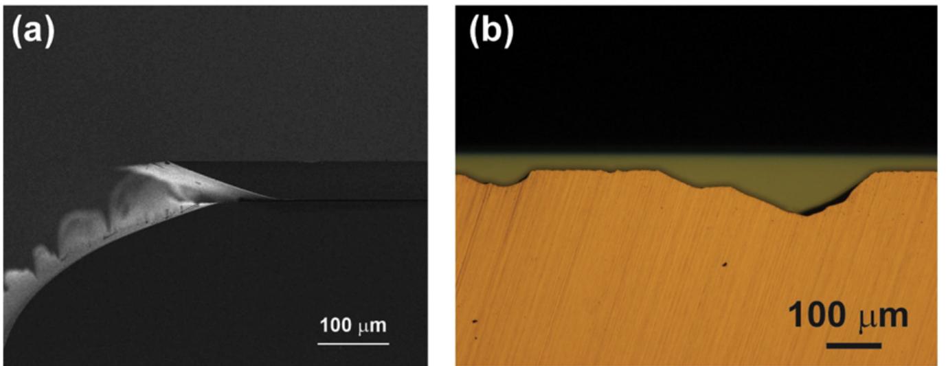 (a) shows the process flow of edge-trim before dielectric