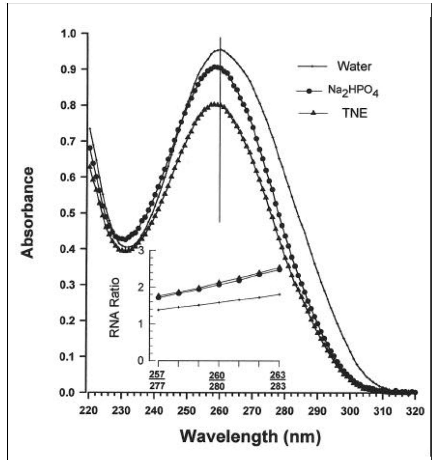 Uv absorbance scans of rat kidney rna analyzed in water (ph
