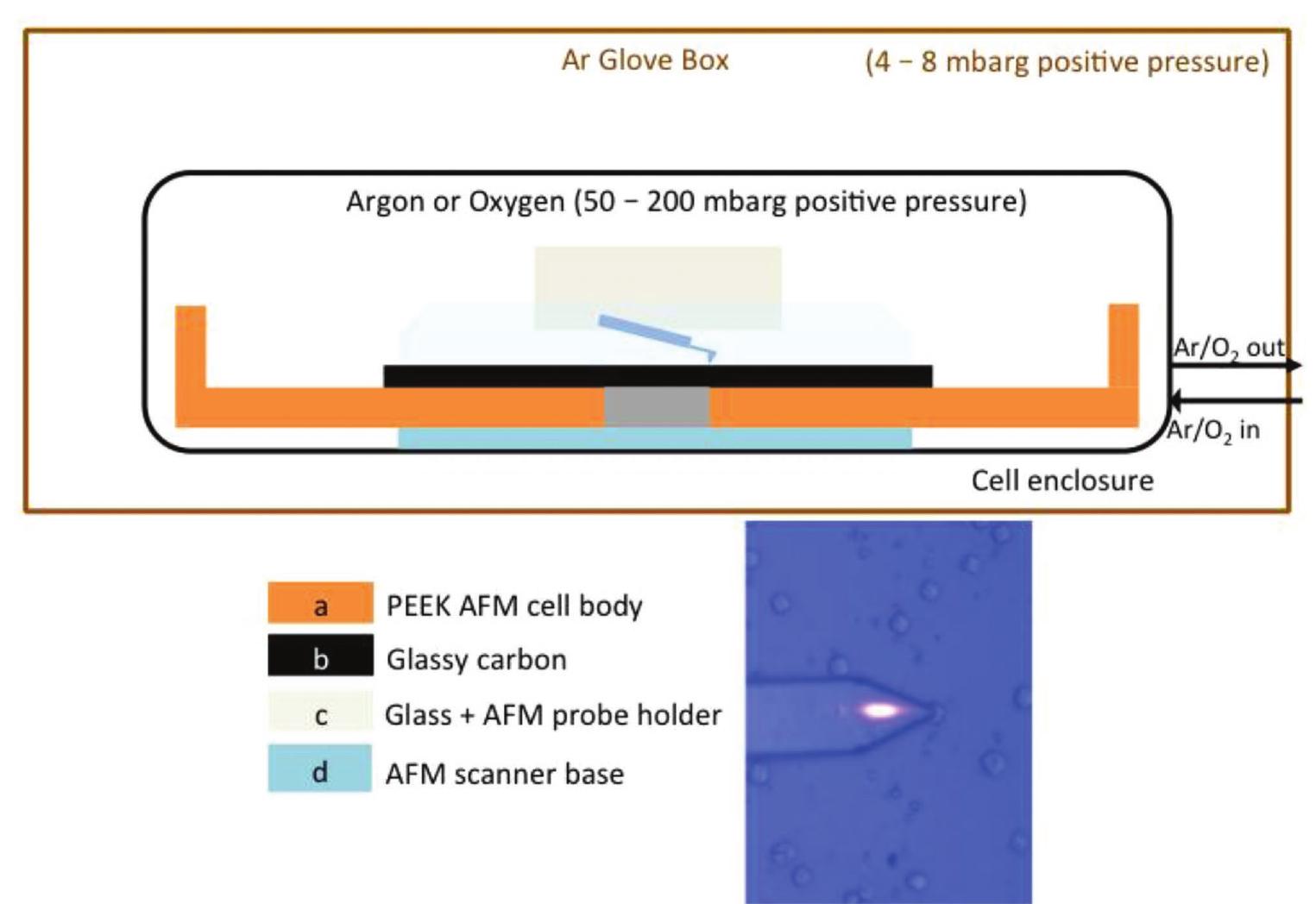 Structure Of The In Situ Atomic Force Microscopy Afm Cell