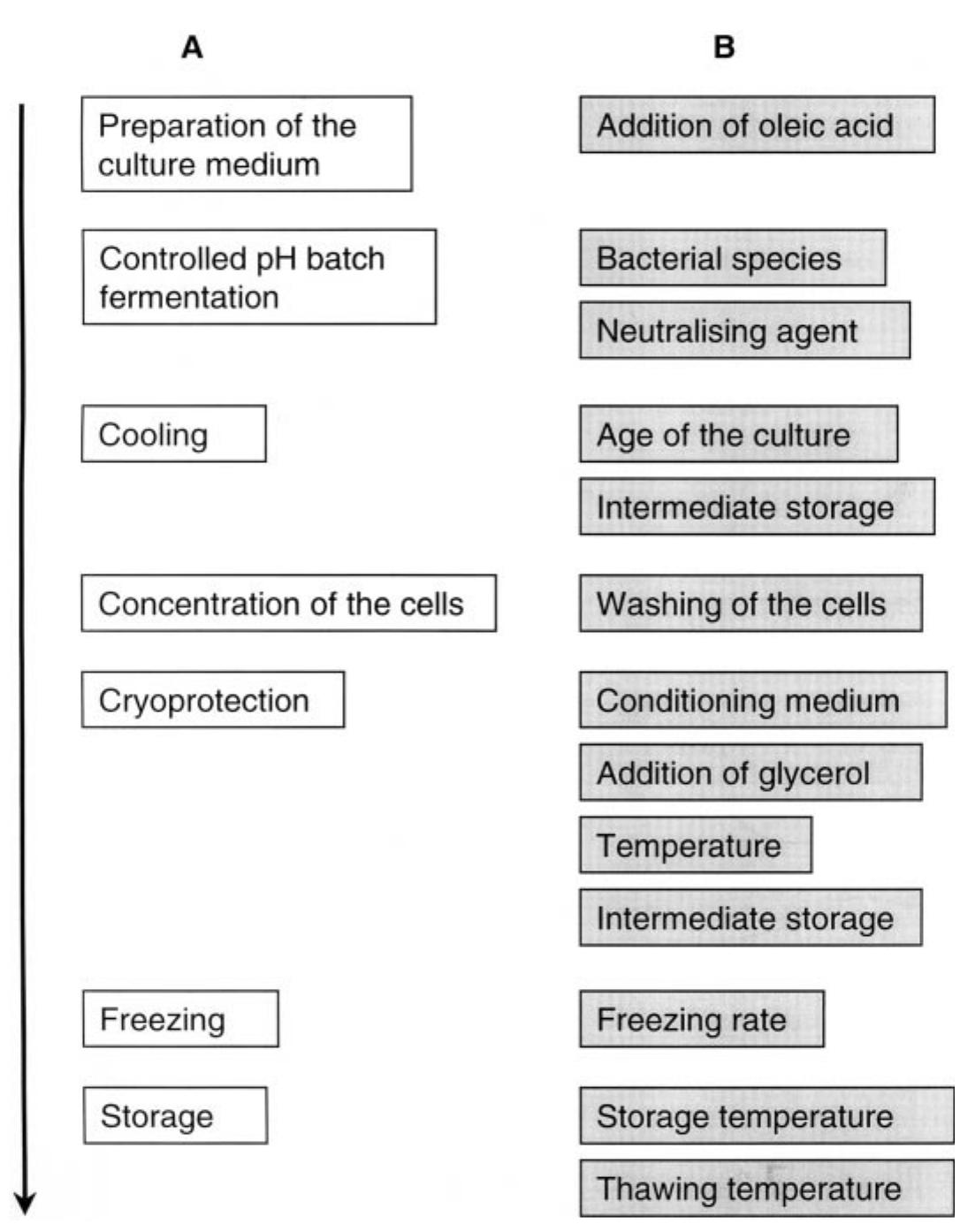 Flow sheet of the production of concentrated frozen lactic