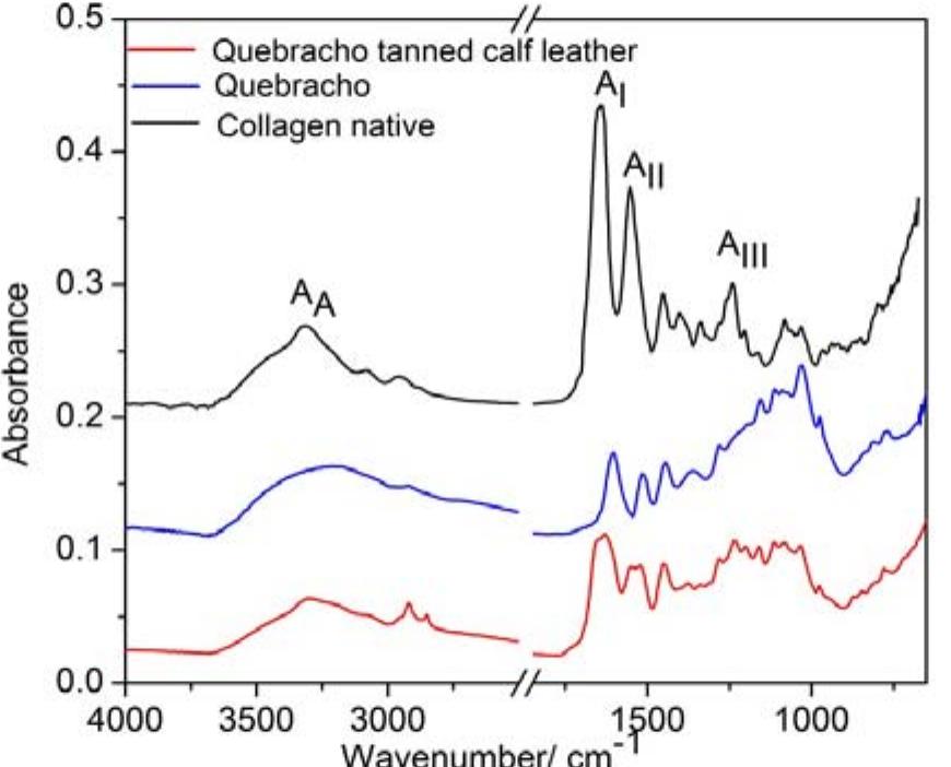 Atr-ftir spectra of quebracho-leather and quebracho extract