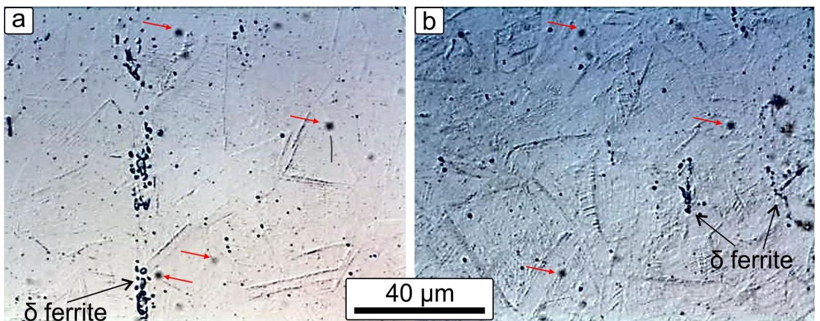 Microstructure of (a) ss 316l and (b) ss 304l used. the