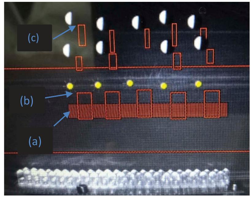 Regions of interest in the vision programme: (a) presence,