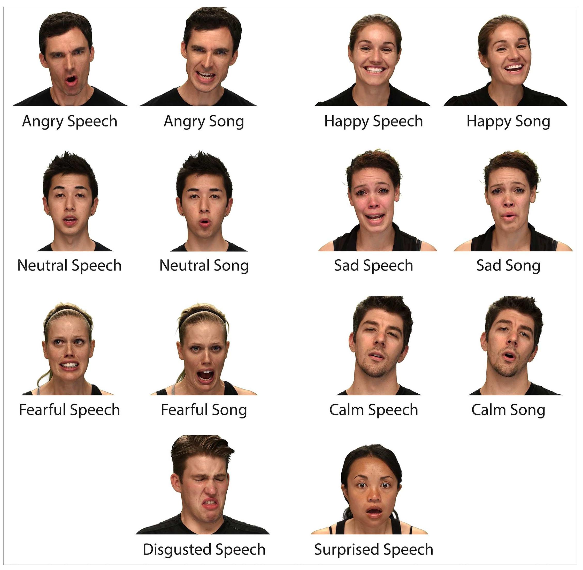 Examples of the eight ravdess emotions. still frame examples