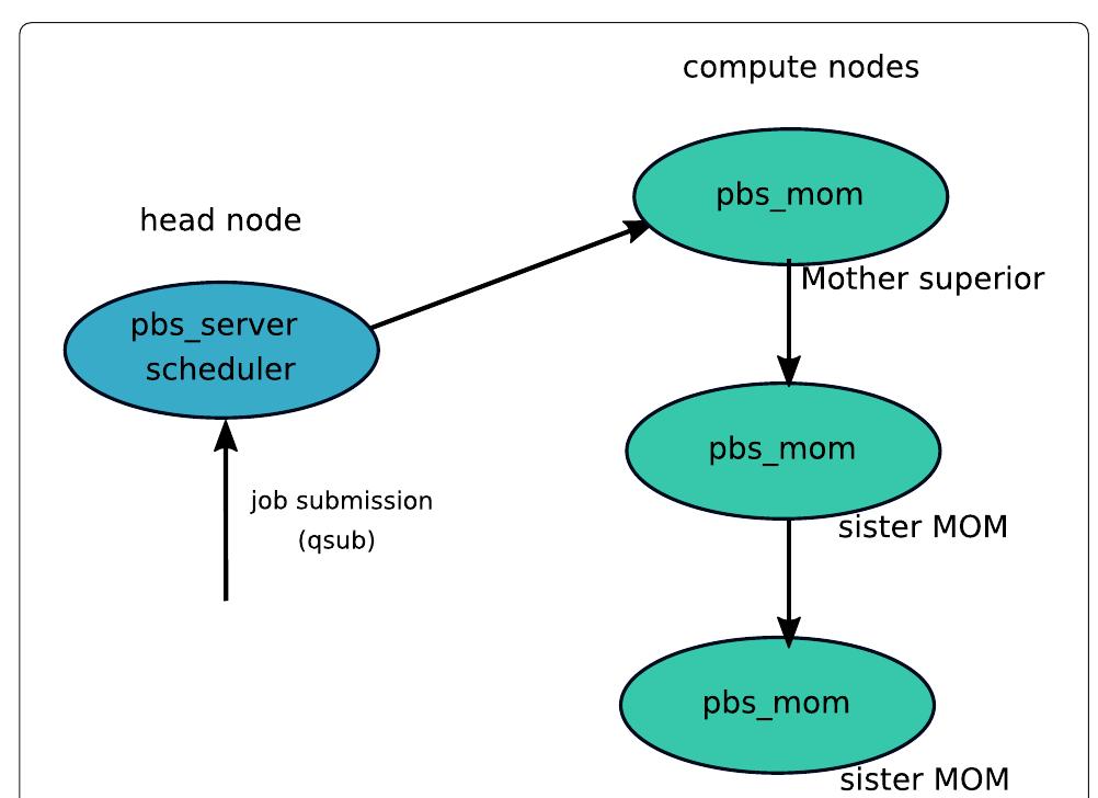 Torque structure. pbs_server, scheduler and pbs_mom are the